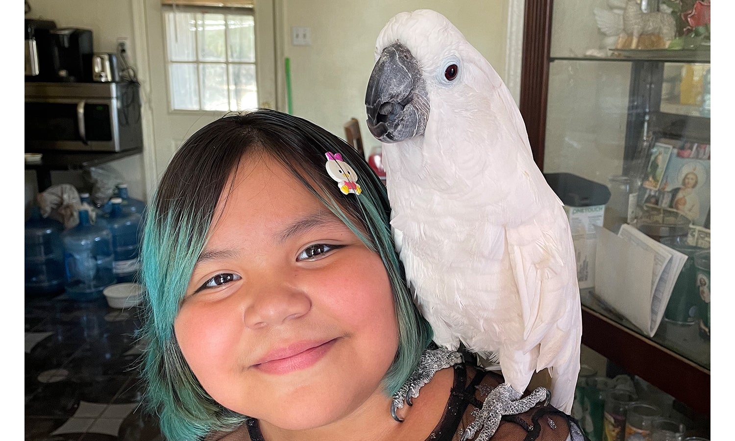 Hennessy's Wish - Make-A-Wish® Orange County & the Inland Empire