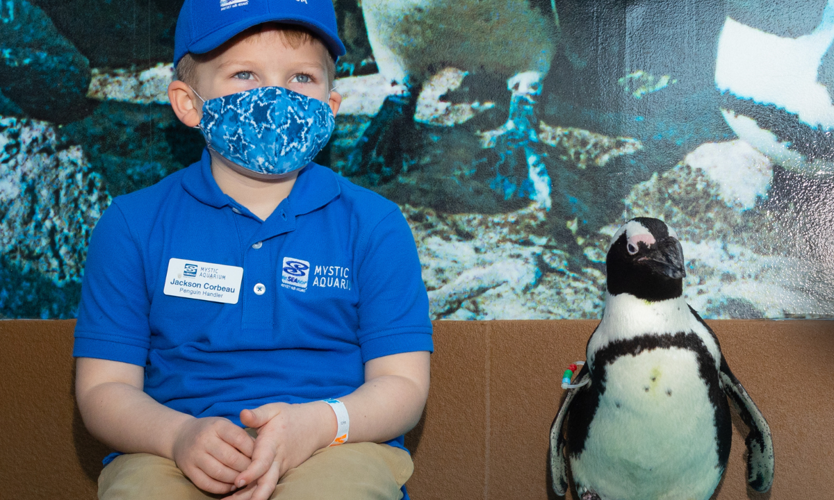Jackson's Wish to be a Penguin Handler - Make-A-Wish® Maine