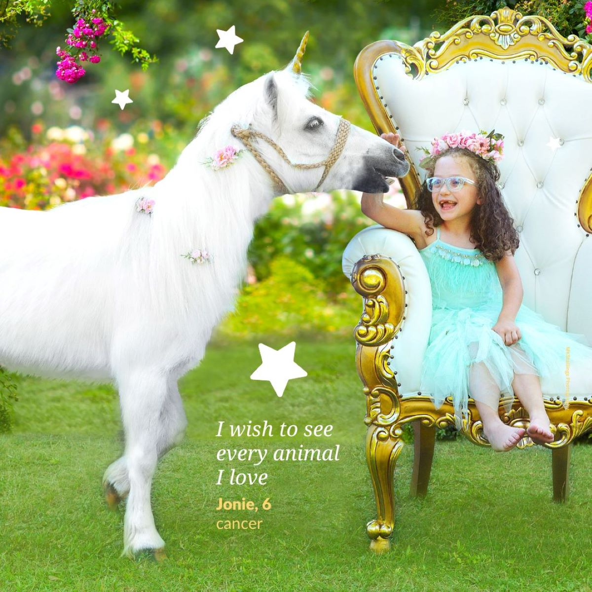 JTV-Make-A-Wish Texas Gulf Coast and Louisiana