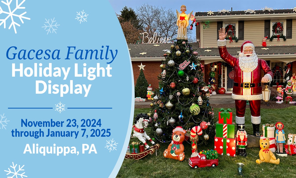 Gacesa Family Holiday Light Display-Make-A-Wish® Greater Pennsylvania ...
